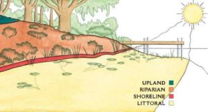 Anatomy of a Lake – The Blue Lakes Program